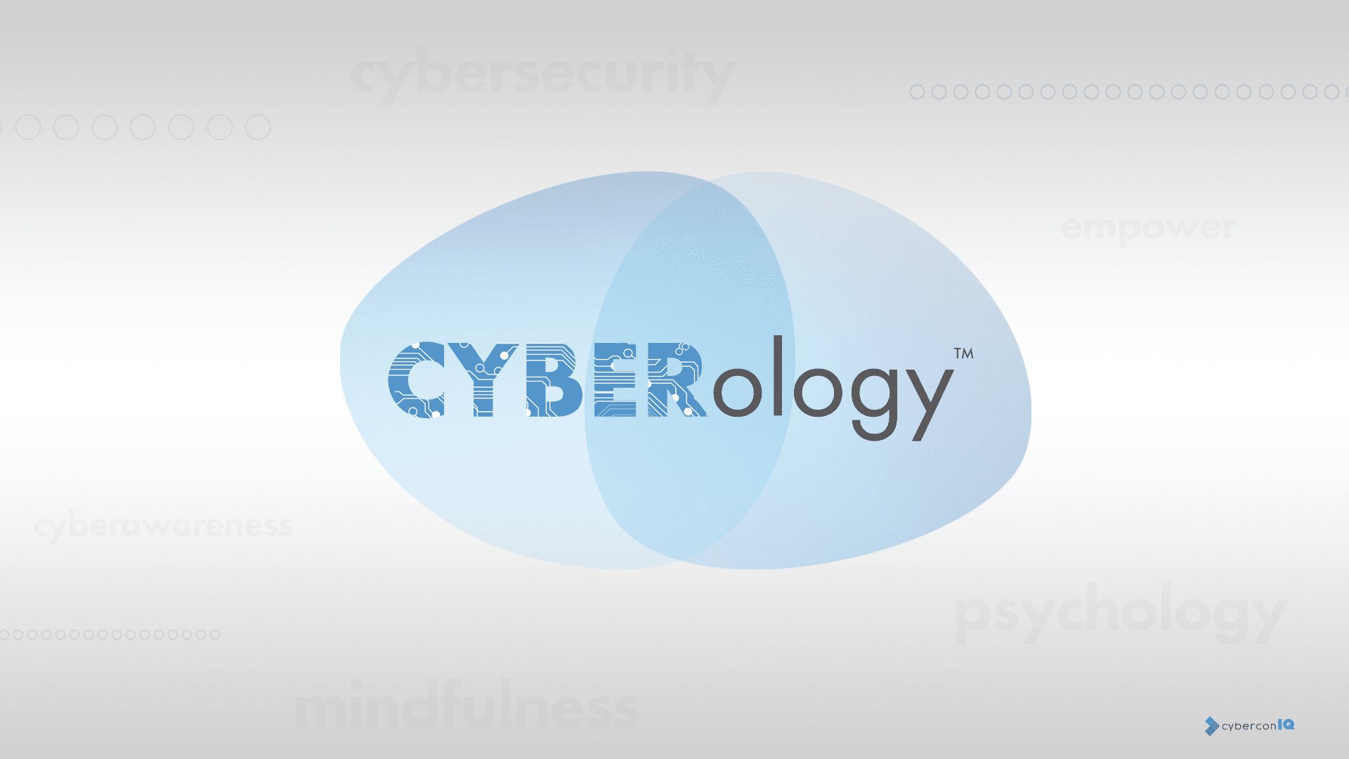 CYBERology™ - Intersection of Cybersecurity and Psychology - Style-Aligned Risk Management Platform